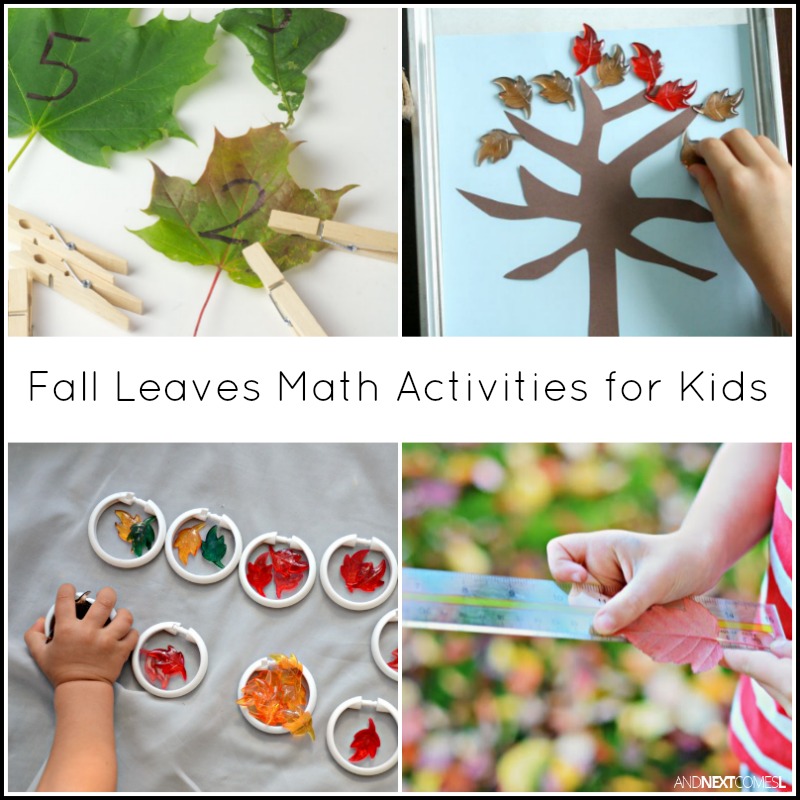 Fall Math Activities For Kids Using Leaves And Next Comes L fall-math-activities-for-kids-using-leaves-and-next-comes-l