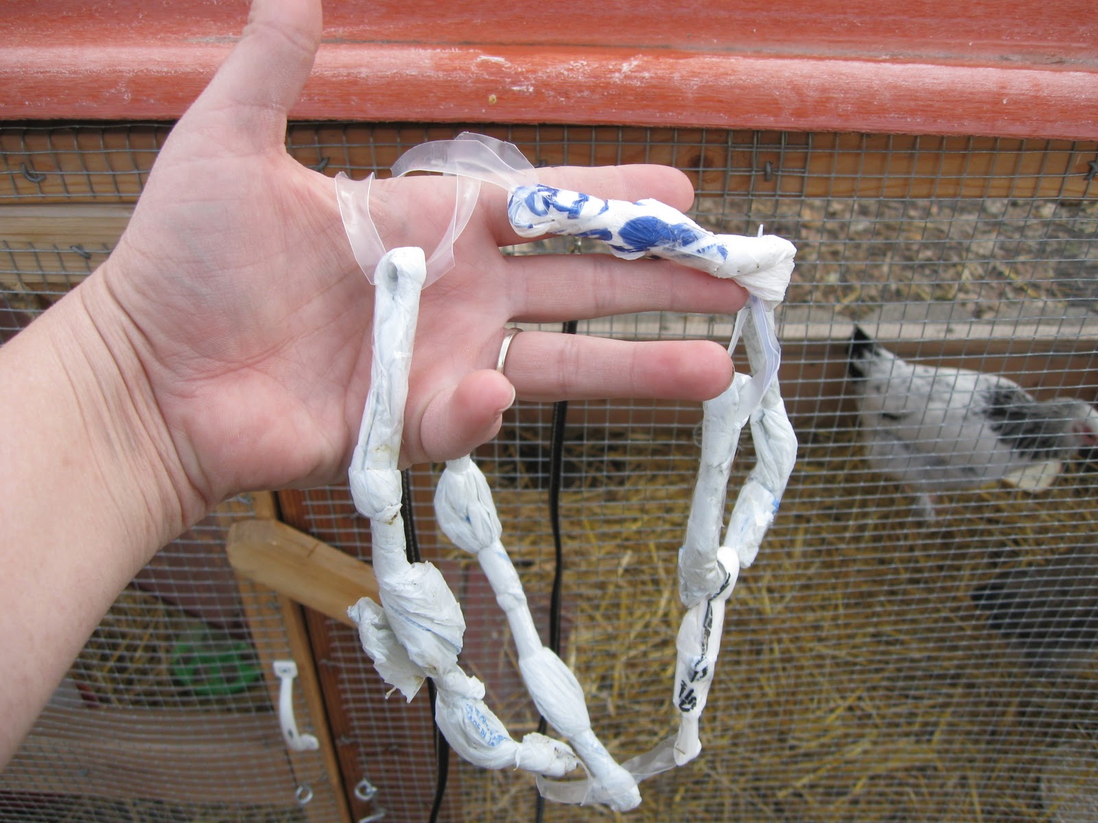 Mother Hen: Chicken Harness