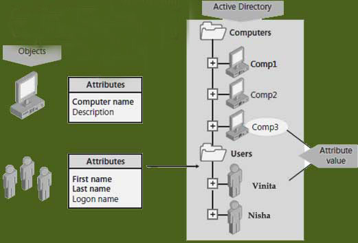 Windows Server Installation & Configuration - Computer Networking