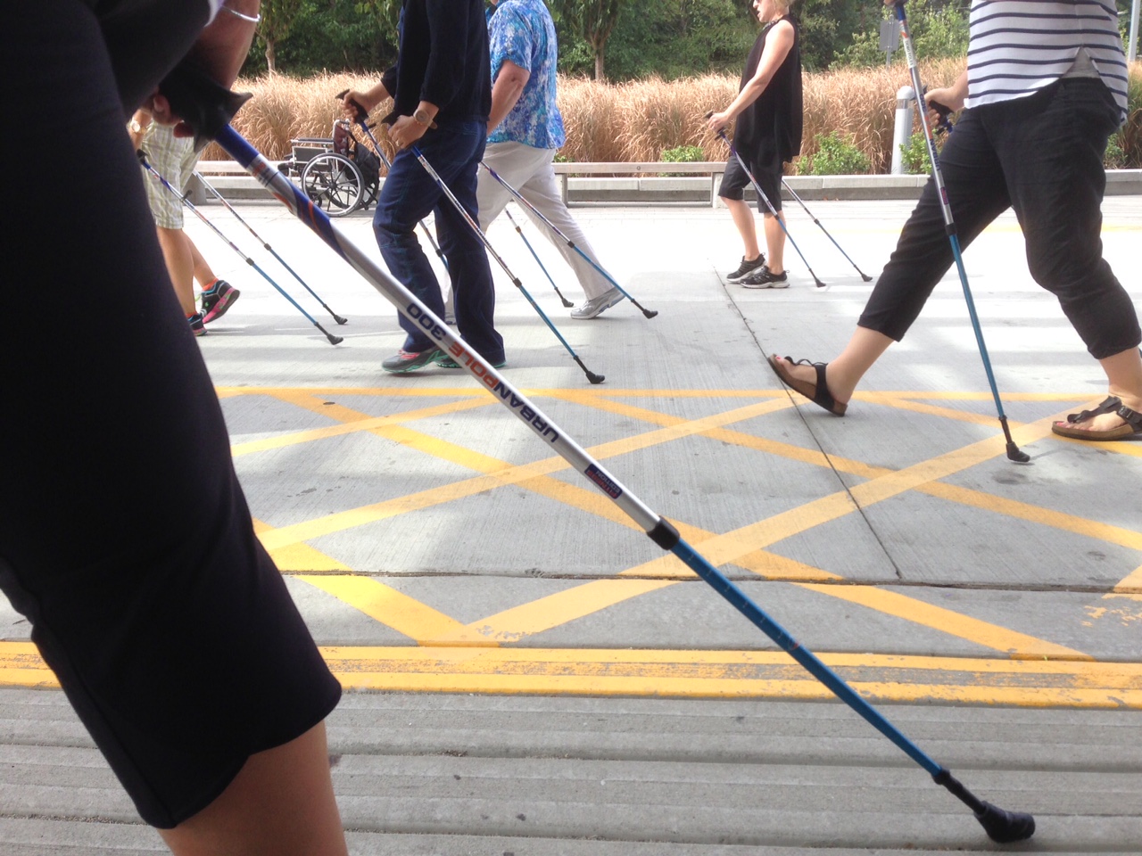 BEST OF 2019: ACTIVATOR Poles|best of 2019's balance,stability, Nordic ...