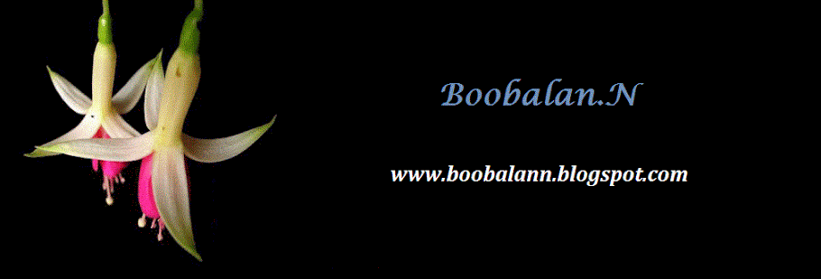 BOOBALAN N: Health Tips