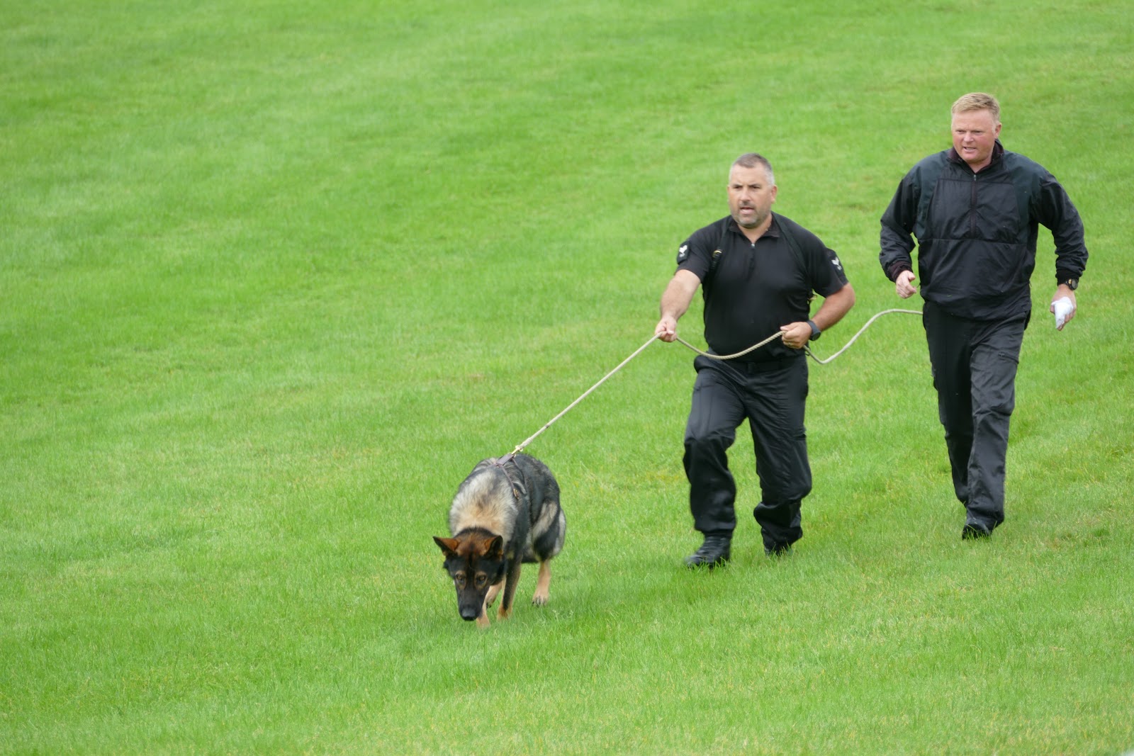 Cornwall, Devon and Dorset Police Dog Section: September 2019