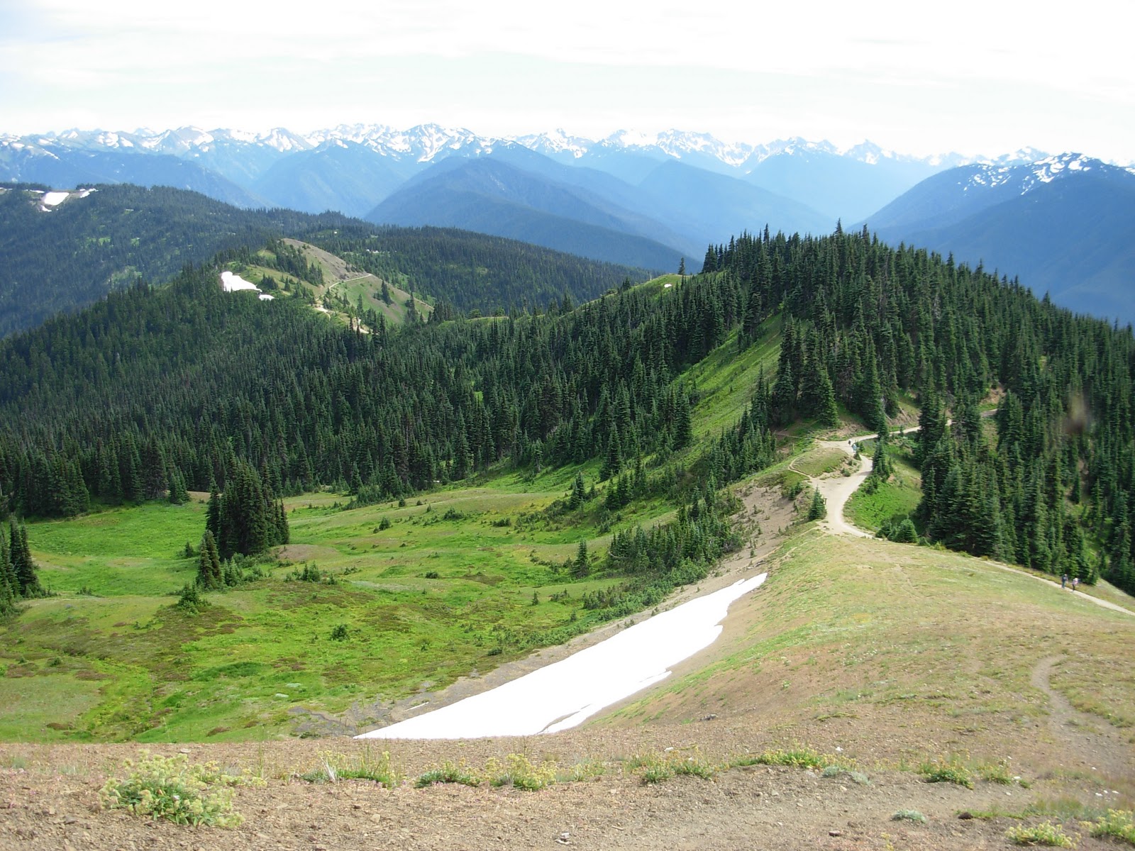 Hiking in the Pacific Northwest: Hurricane Ridge