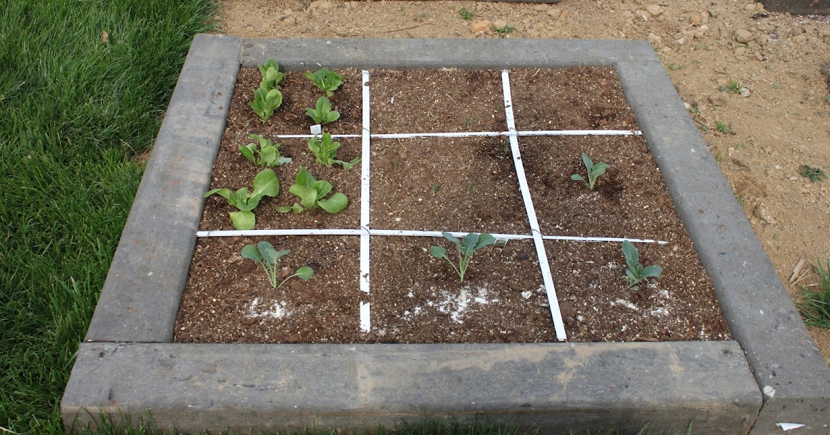 The Prudent Life: Square Foot Gardening the Correct Way