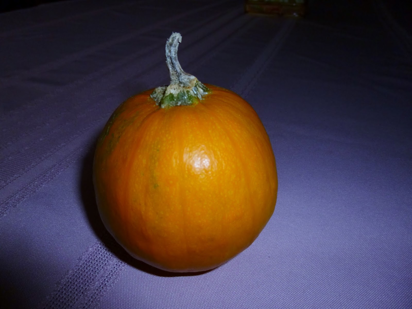 Lonely Little Pumpkin