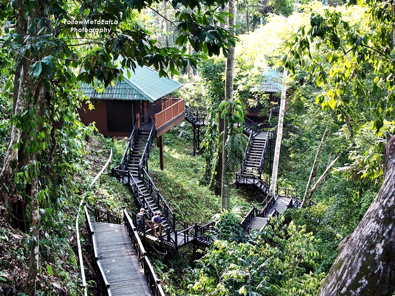 Follow Me To Eat La - Malaysian Food Blog: Tabin Wildlife Resort ...