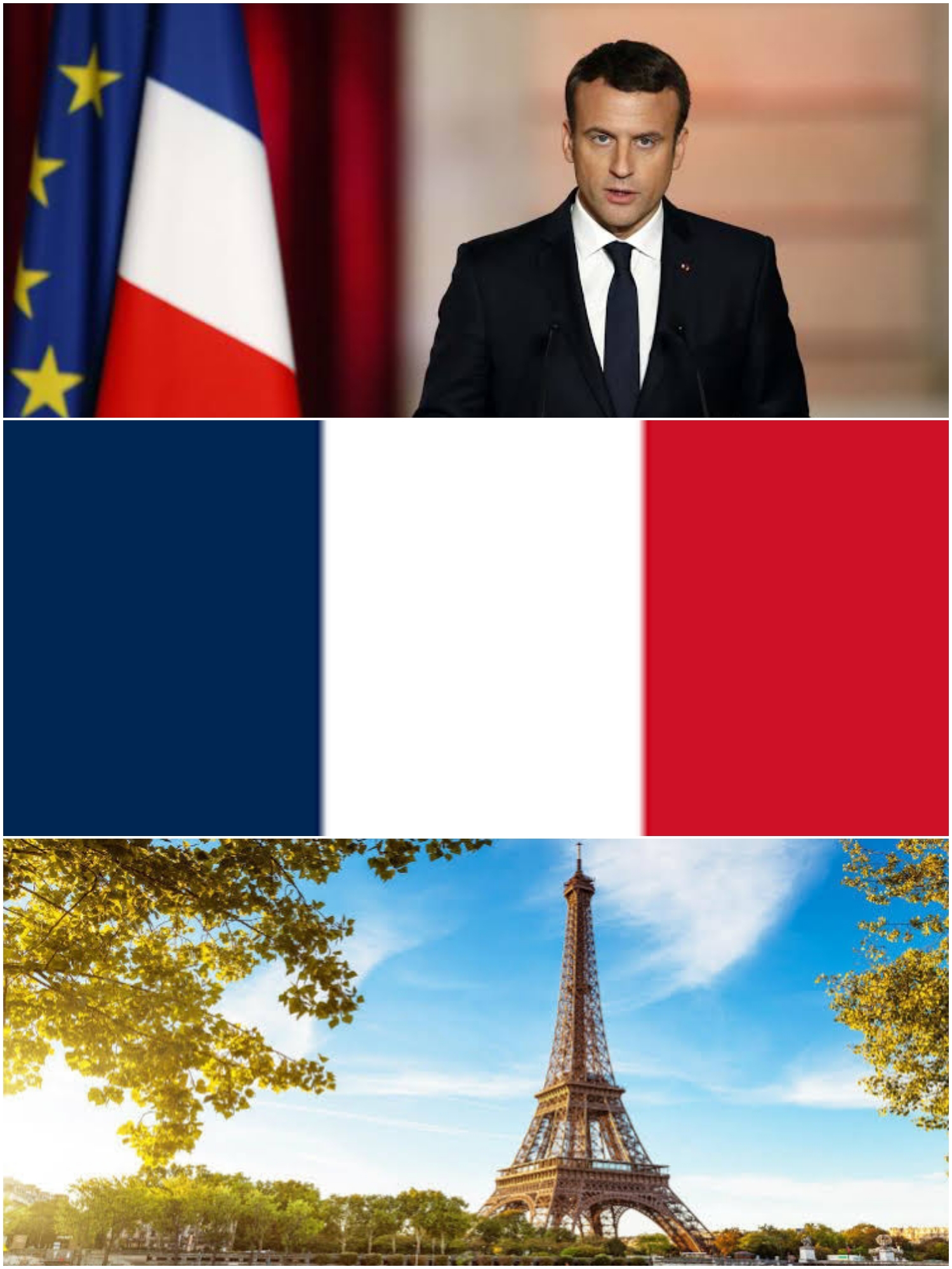 Kasaysayan ng Pransya: Kasaysayan ng Pransiya