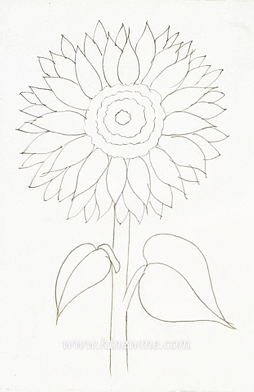 Super easy How to draw a sunflower with Watercolor and basic line ...