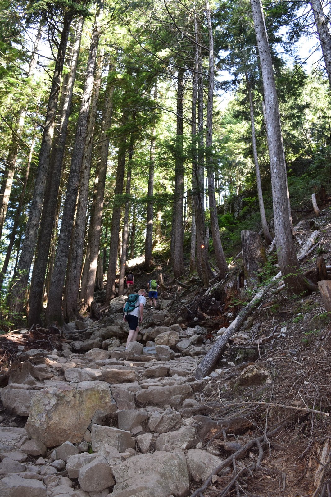 Travel for a Purpose: Vancouver Travel—Climbing Grouse Grind Trail to ...