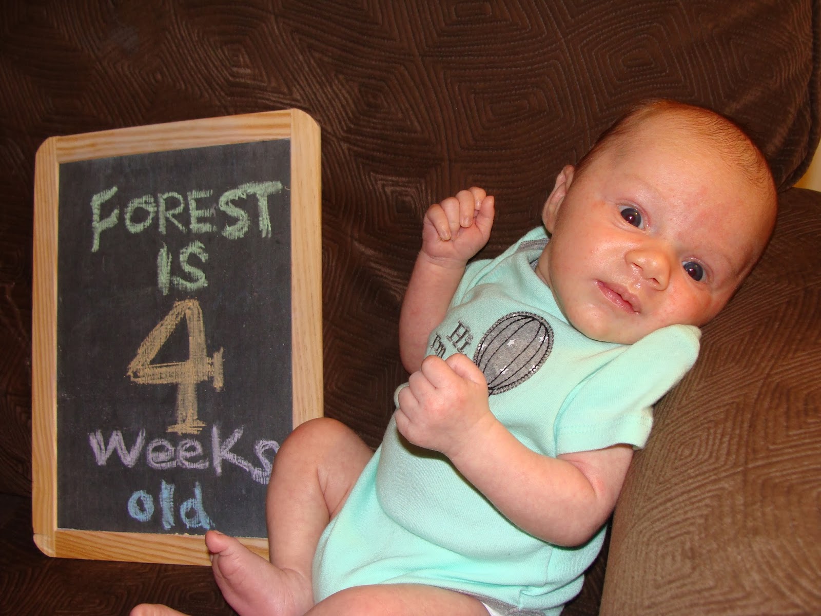 The Aberdeen Wife: 4 Weeks Old!