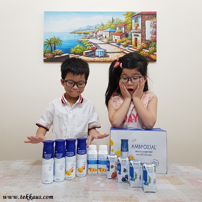 Ambrosial Greek-Style Yoghurt: 6 Different Flavours To Kickstart Your ...