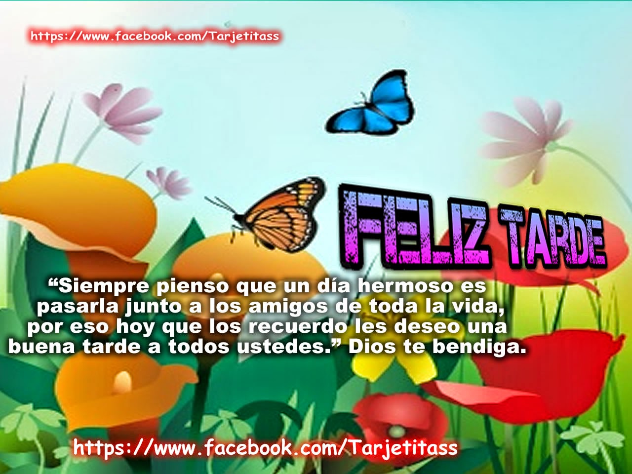 Feliz Tarde - Hermosas tarjetas y postales con mensajes y frases para ...
