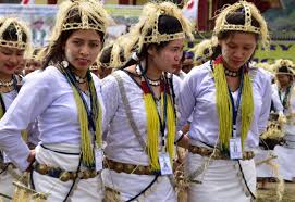 Northeast Indian Tribes and people: Galo Tribes