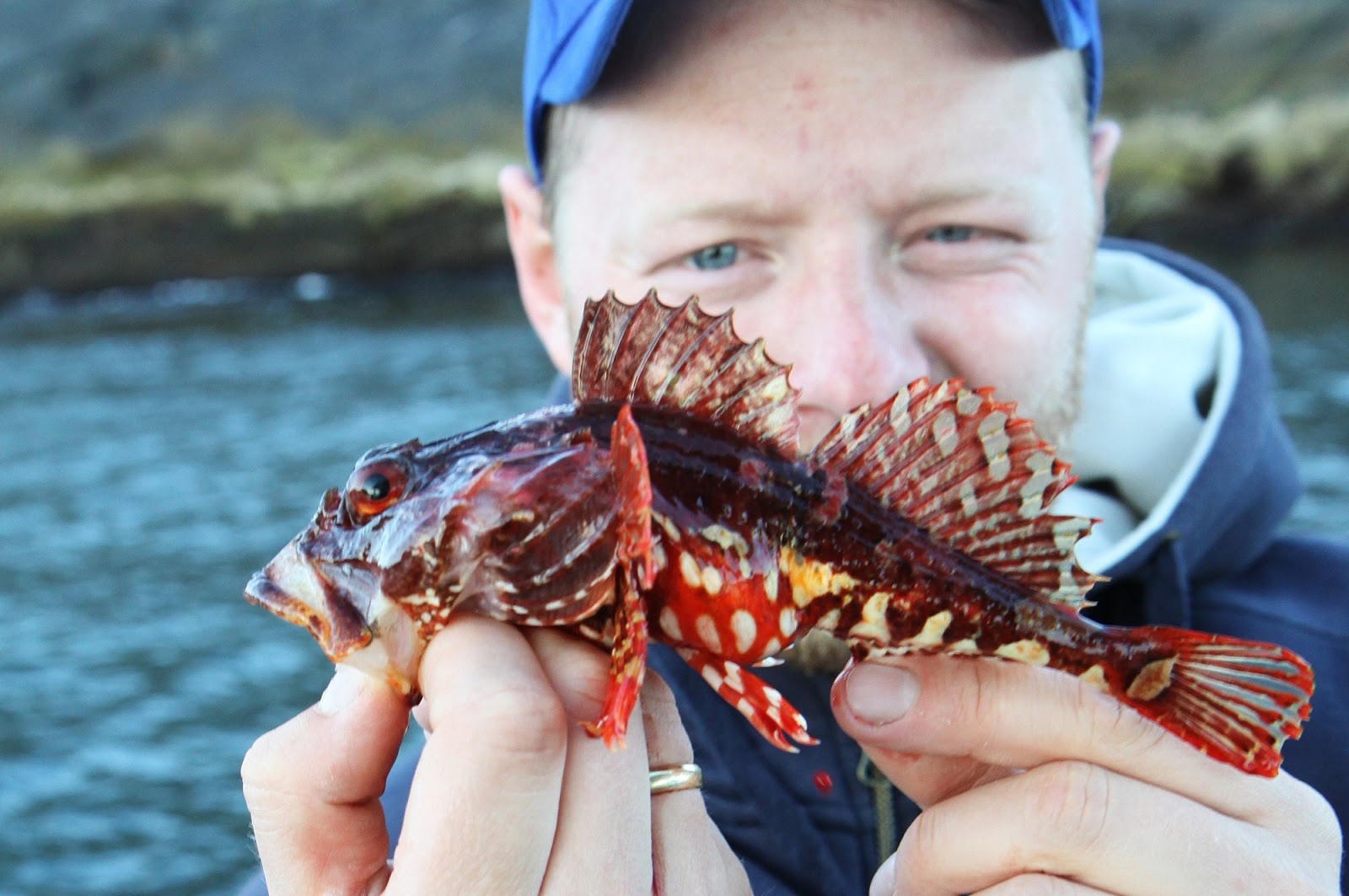 Fisk og rask - Sportsfiske på Vestlandet: Artsliste og perser