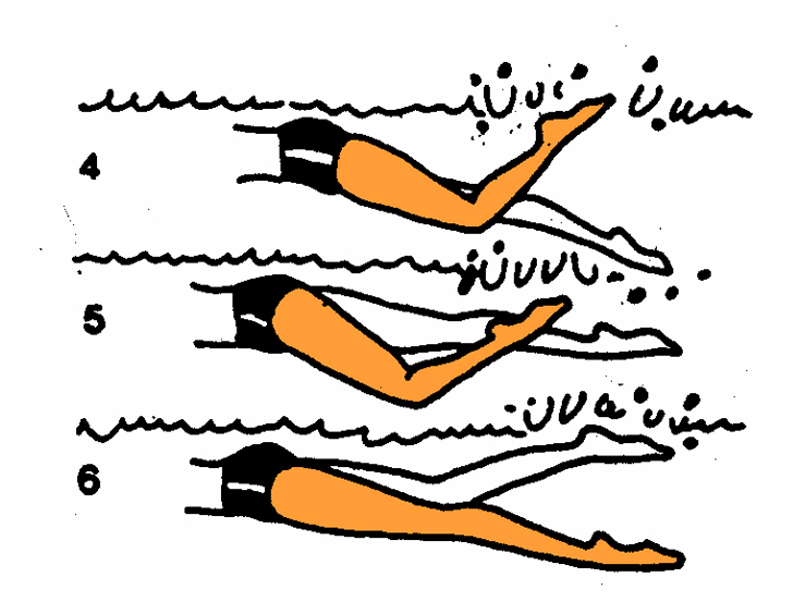 Estilos de natación: diciembre 2014