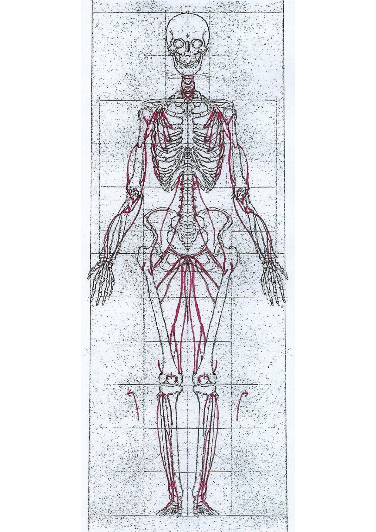 Artistic Anatomy Glasgow: Grid Gym: advanced female surface anatomy ...