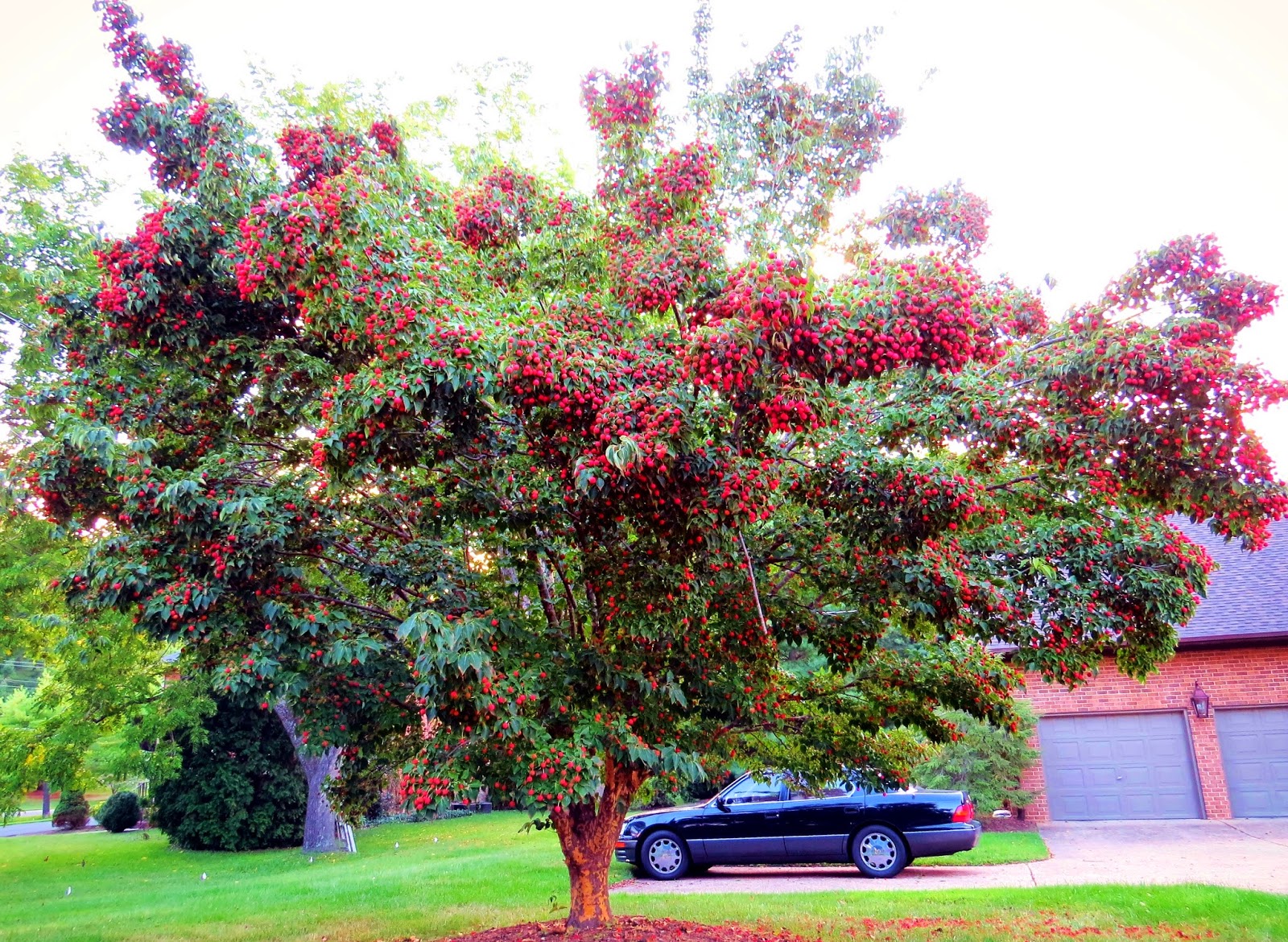 Let Your Light Shine: The Answer