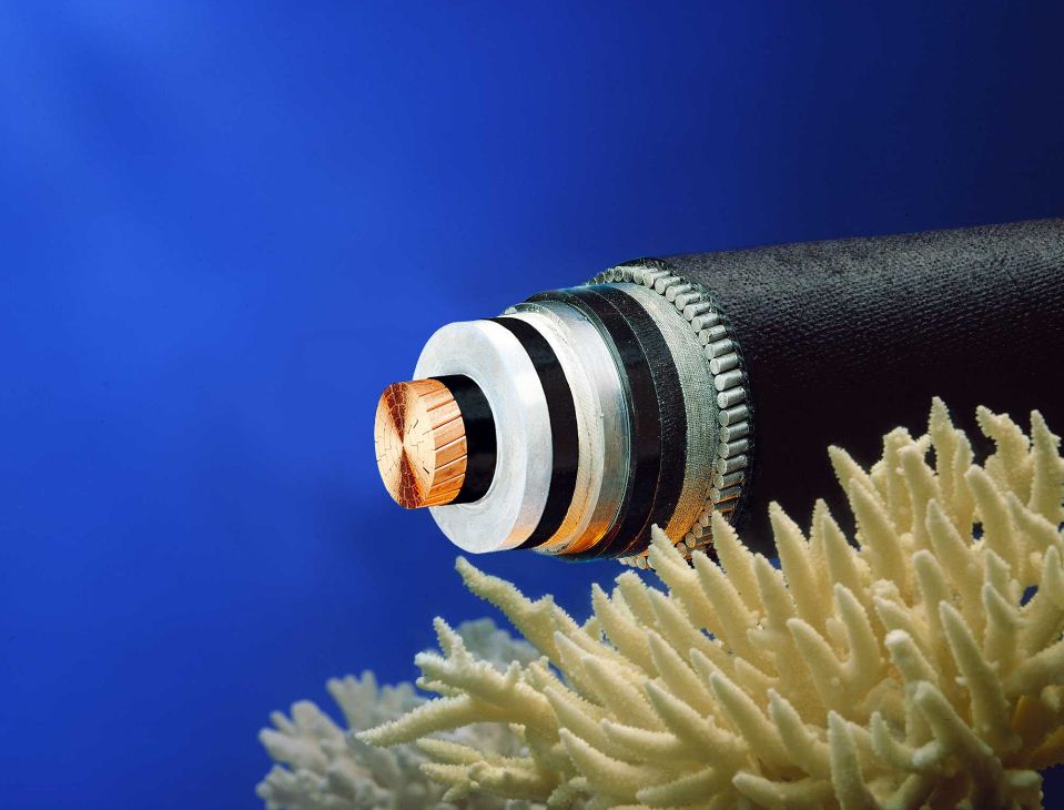 Technogoyal: HAWK CABLE SYSTEM NOW INTEGRATED WITH RELIANCE'S NETWORK ...