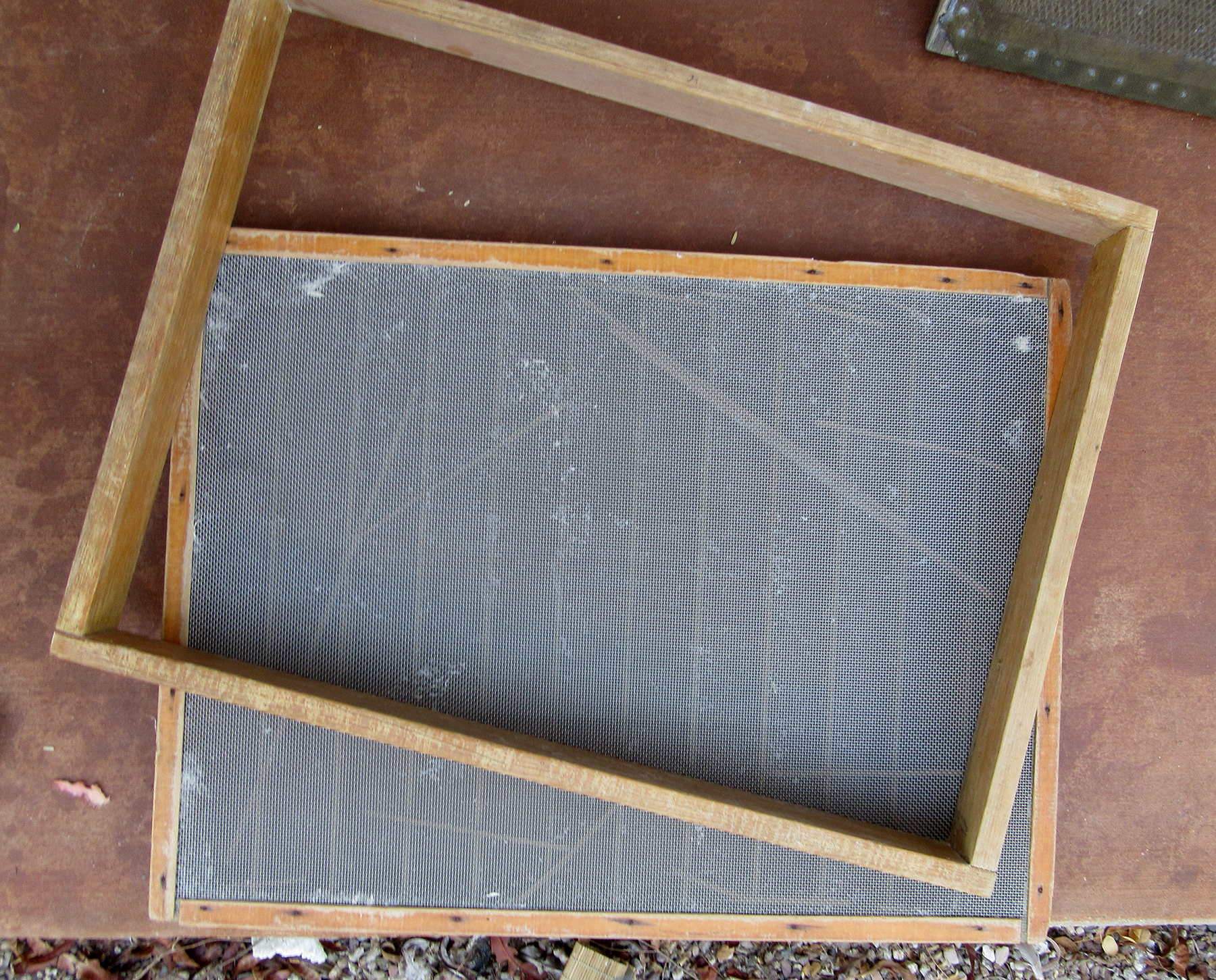 Catherine Nash: Visual Artist