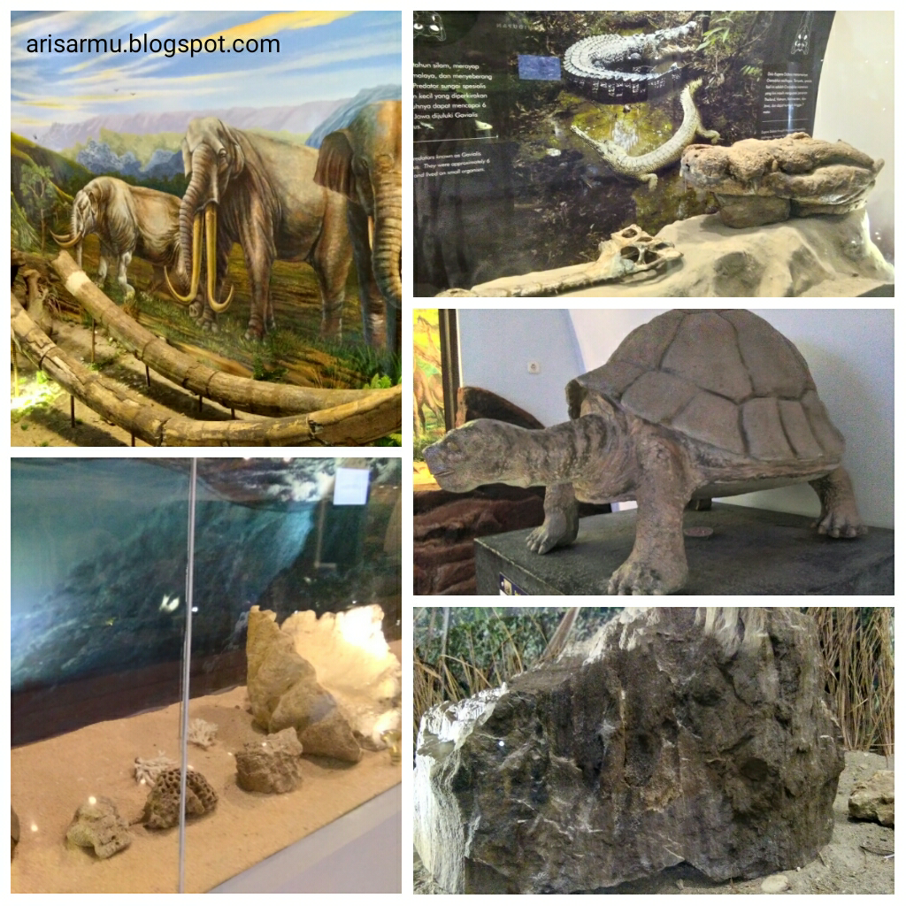 Sangiran Museum, Sragen: Early Man Site - UNESCO World Heritage Centre