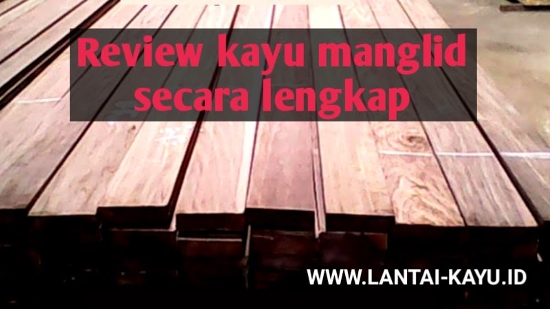 Review kayu manglid secara lengkap - Lantai kayu indonesia