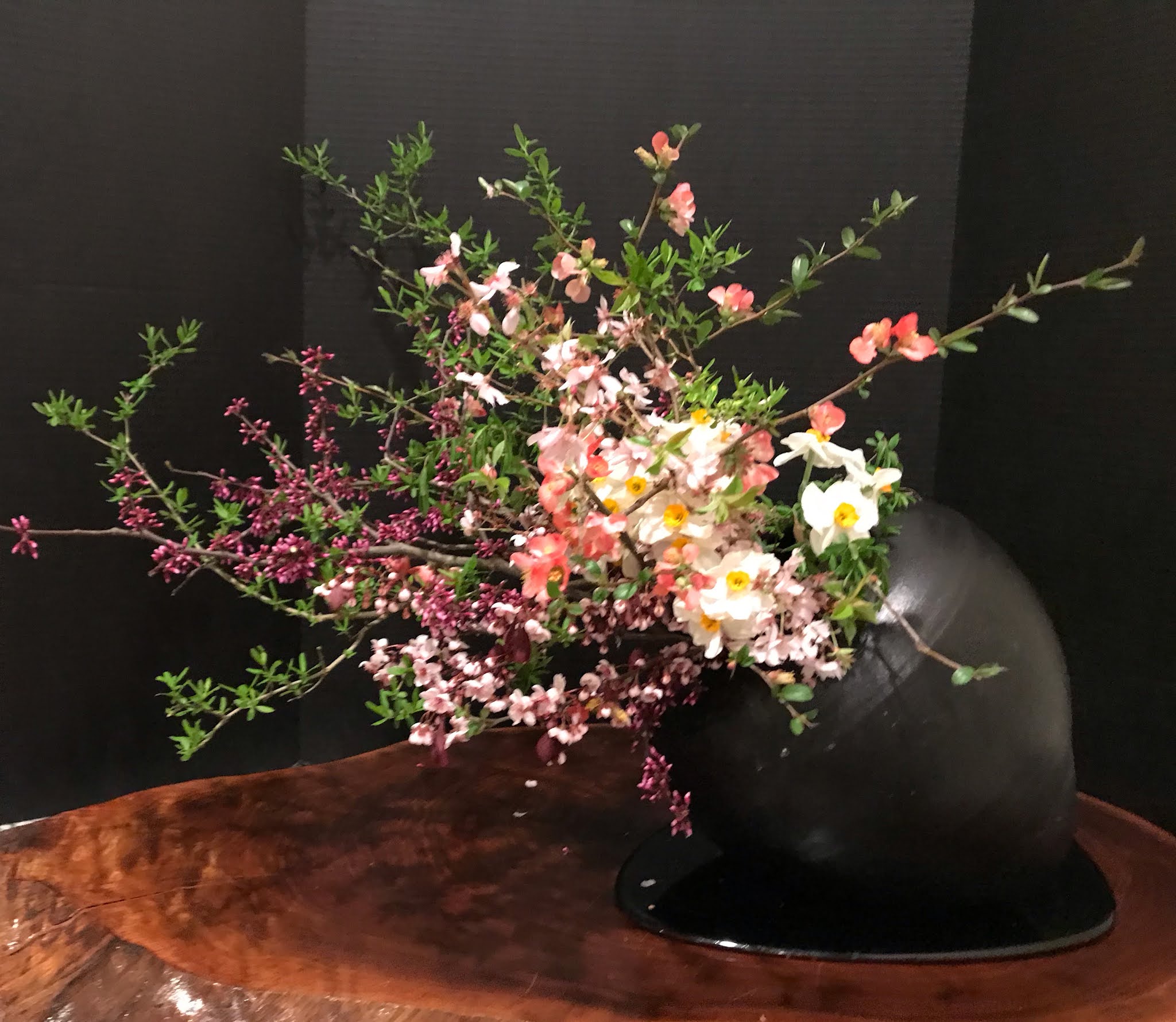 Orchids and Ikebana: Spring Splendor