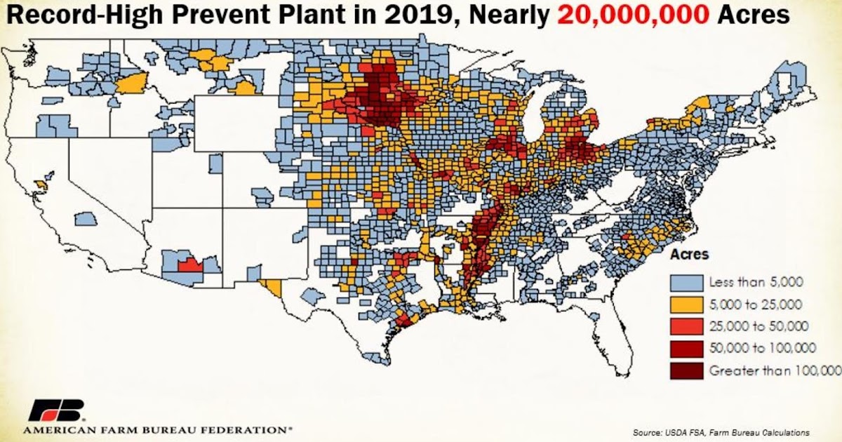 Corn Agronomy: Yield and Quality of July Planted Corn