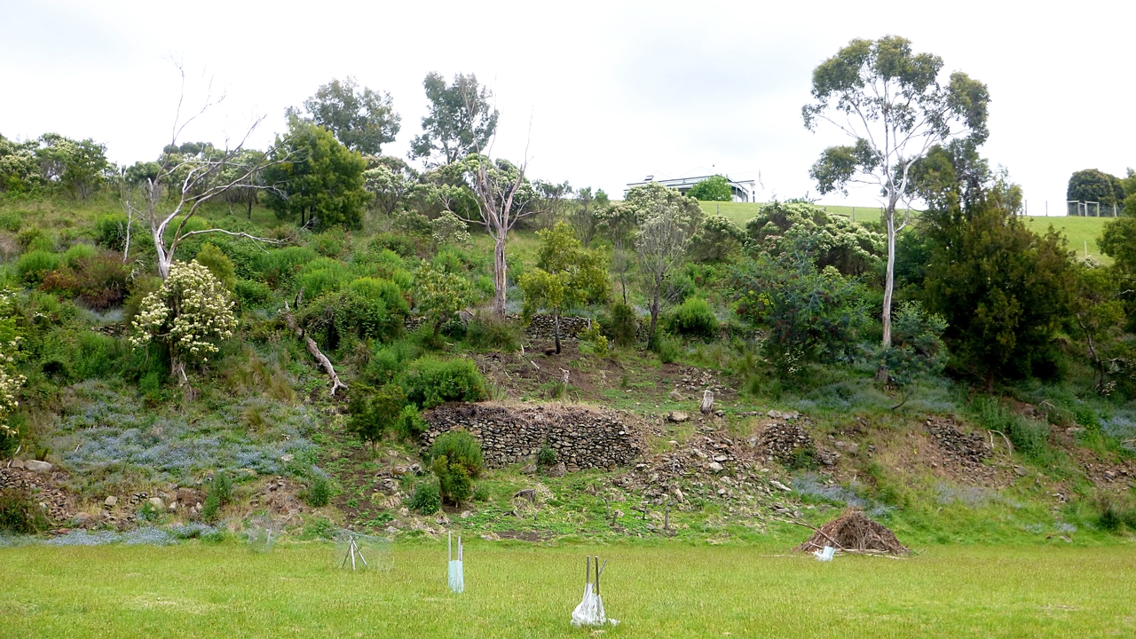 Ramblings: Nierinna Creek Tramway Hill Margate Rivulet 2015
