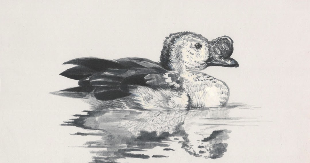 Prasad Natarajans Wildlife Art