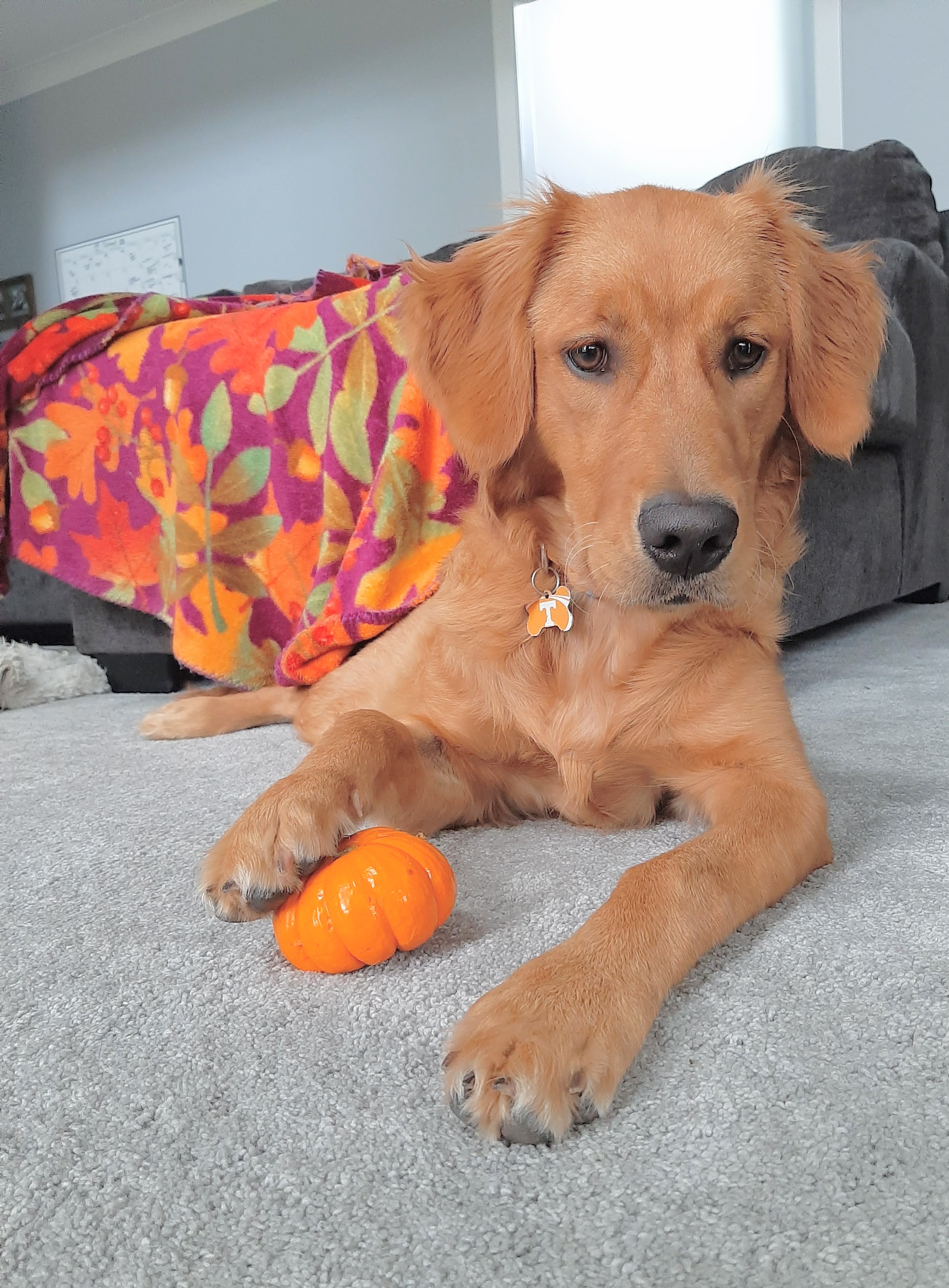 Newest Raborns on the Block!: Lucy Cove Raborn Growth Updates!