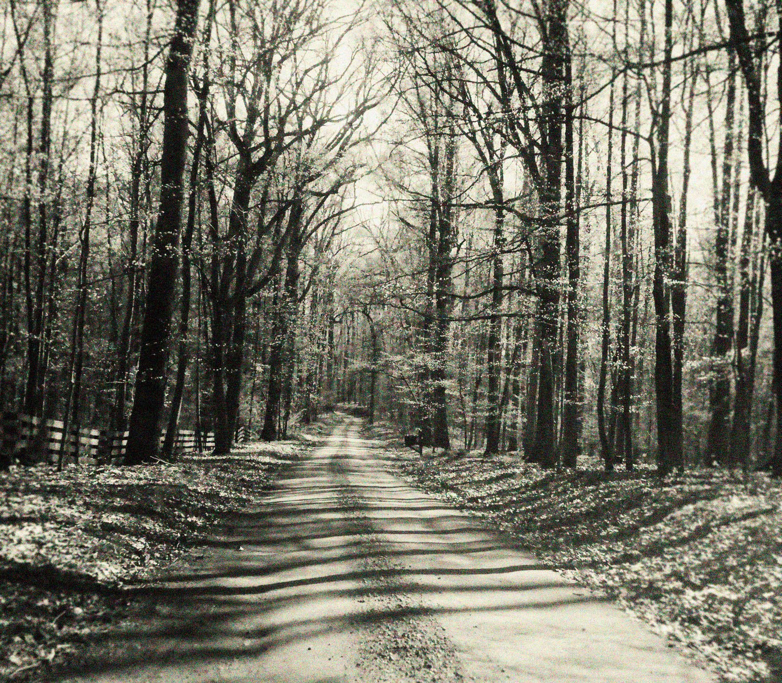 design blog: Vintage Photography