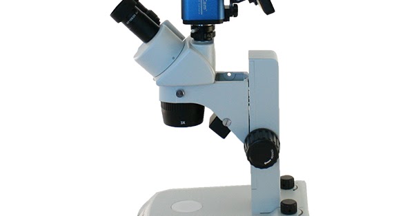 Microscope World Blog: Museum Display Microscope