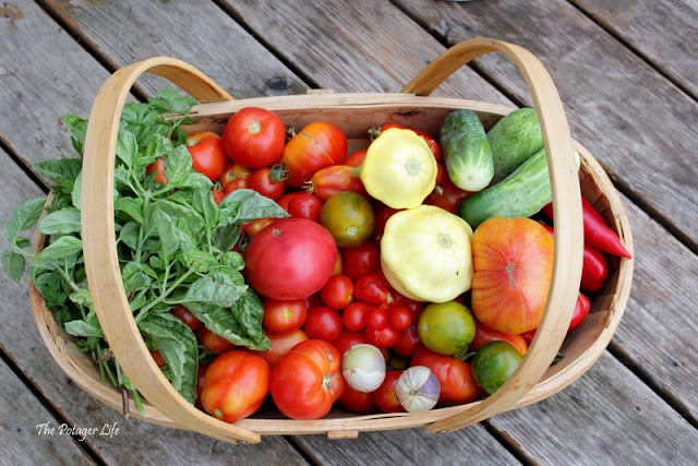 Tanja's Top Ten Tomatoes 2017