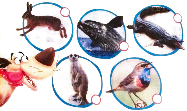 Segundo Grado ECEA: ¿CÓMO SE MUEVEN?