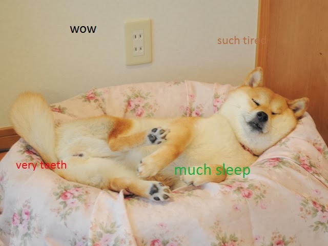 Awesome Doge: Sleeping doge