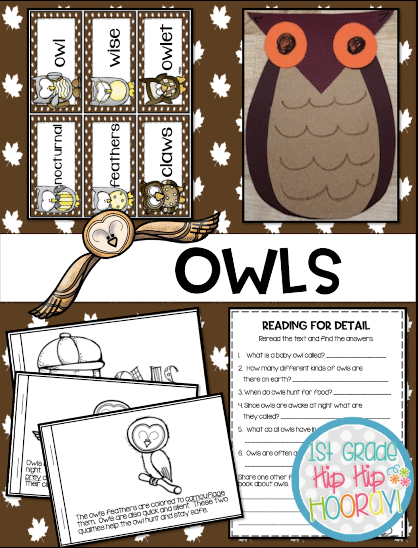 1st Grade Hip Hip Hooray!: Using informational text to research owls!