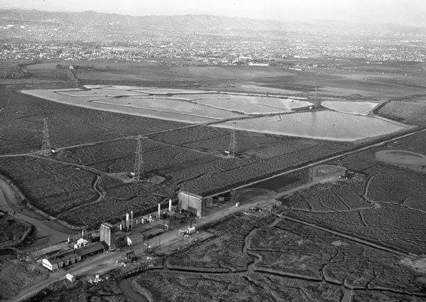 Geography 5 Ballona Wetlands: Ballona Wetlands in Southern California