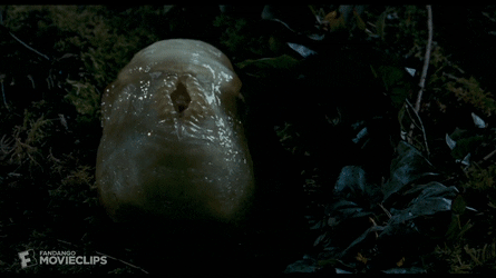 Slither Brenda Gif