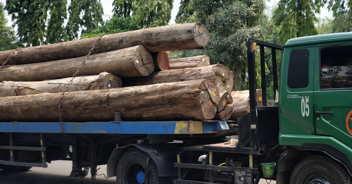DOKUMEN PENGANGKUTAN KAYU HUTAN ALAM TERBARU - ARTIKEL LHK