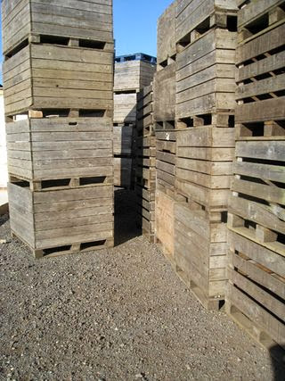 The Orchard Year: Apple Picking Then and Now