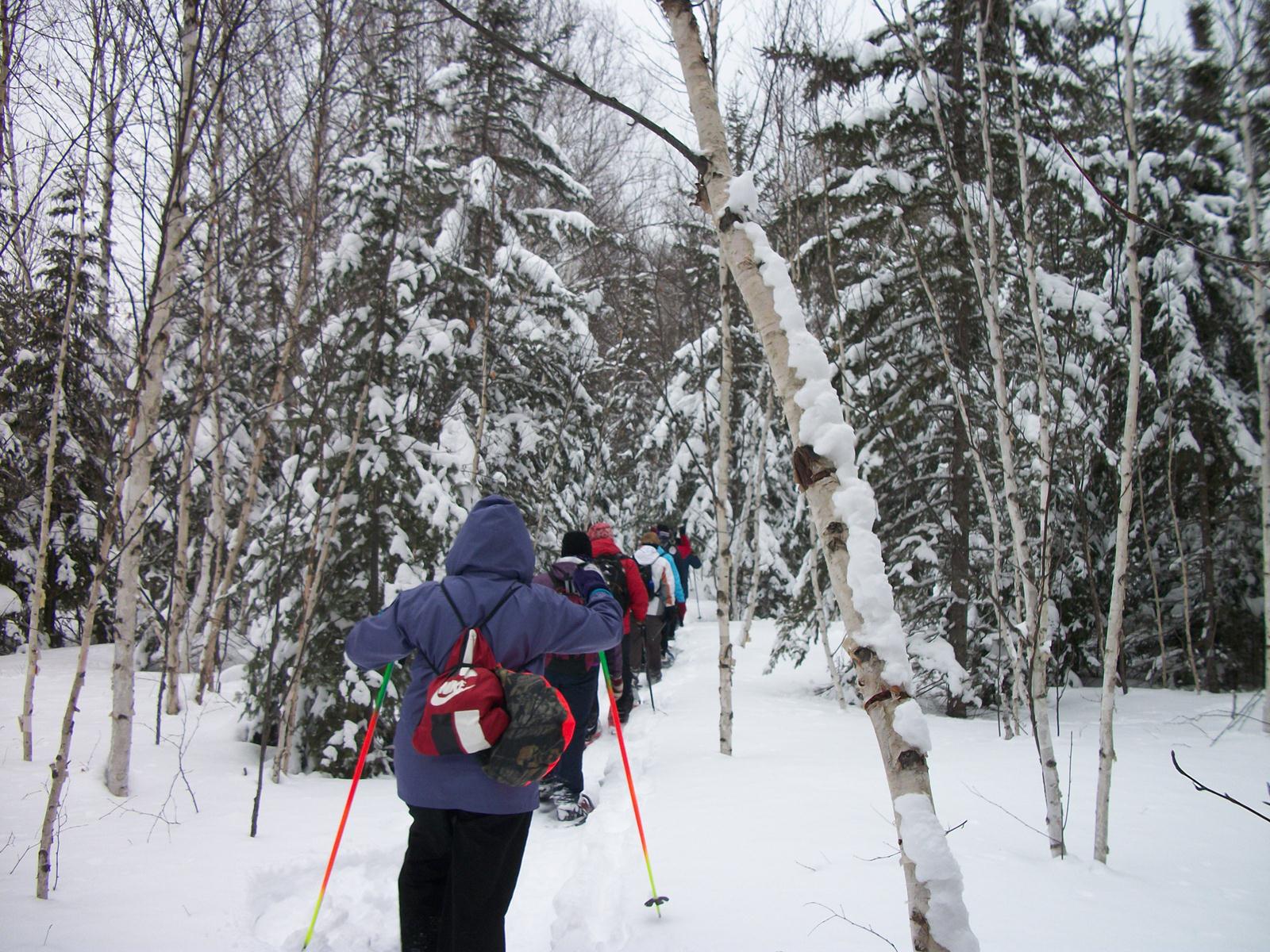 Coureurs de Bois Outdoors Club: Easy Hike, Snowshoe Trail, March 6