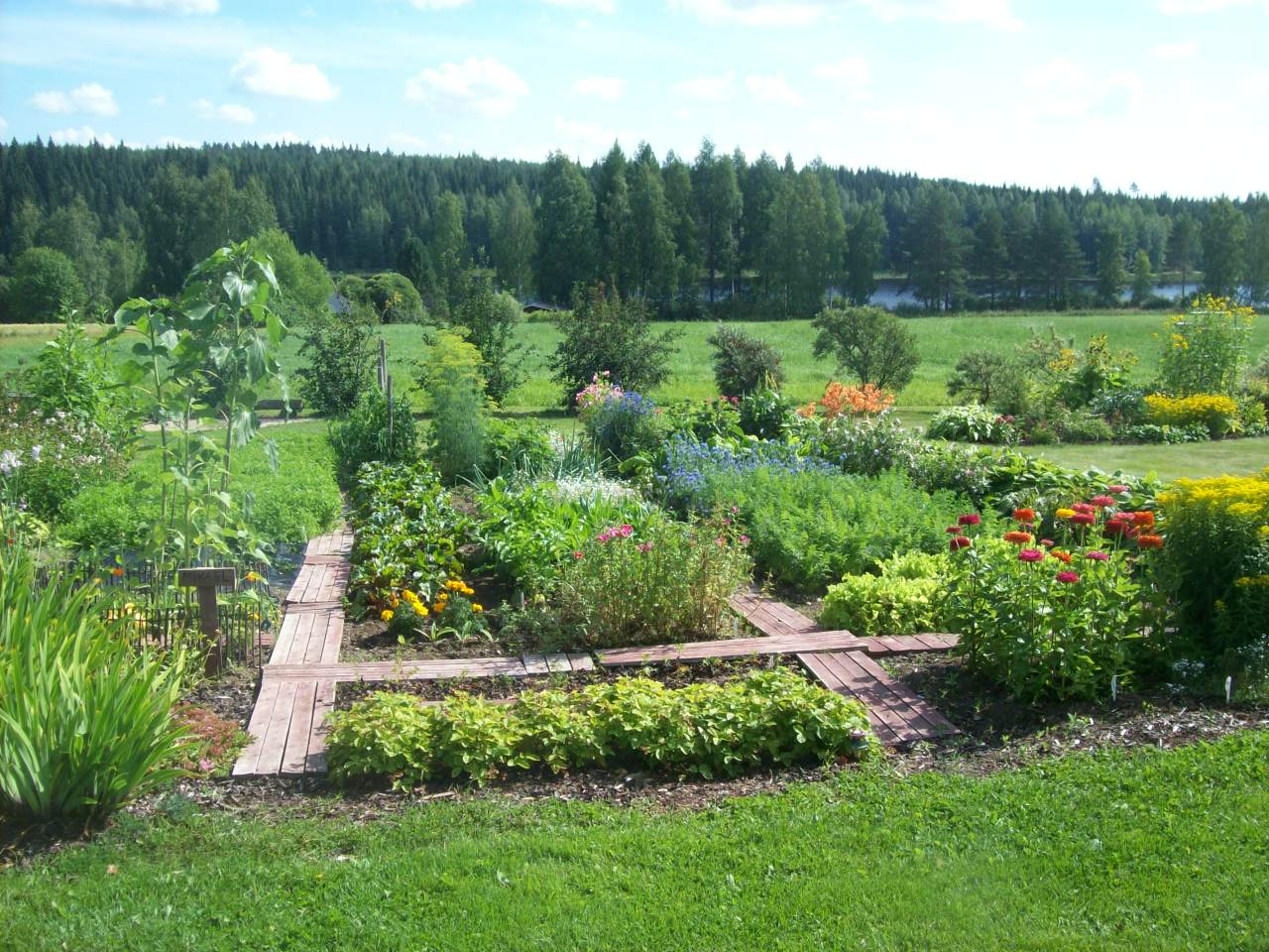 Titityy: Avoin puutarha