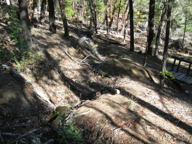 Hiking Sasquatch Country: 13 Gin Lin Mining Trail