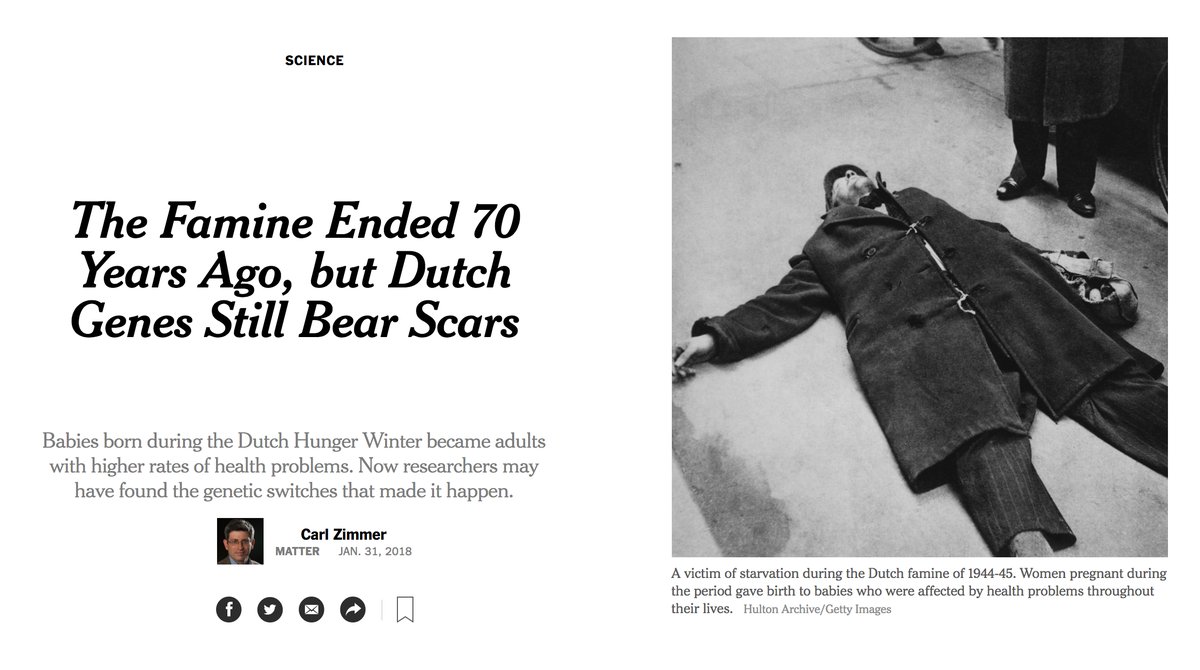 Dig Deeper: Creation Moment 8/29/2018 - Epigenetics & Dutch Hunger Winter