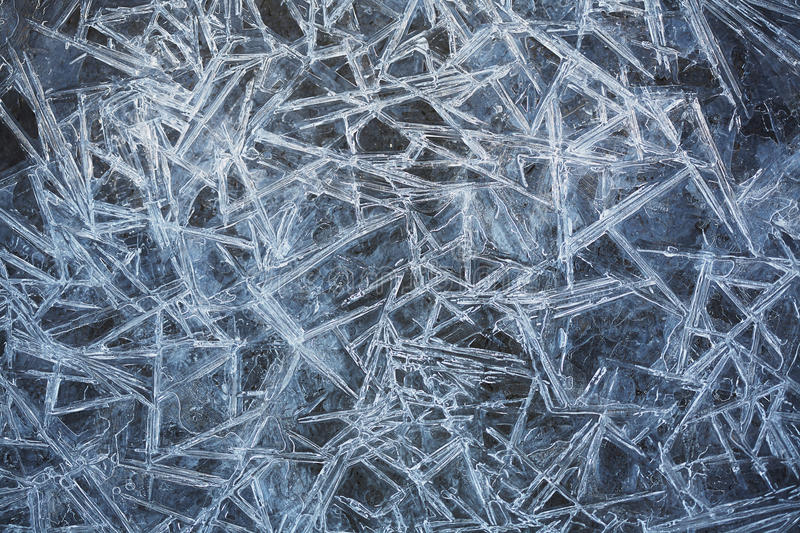 SOLUTION: Needle shaped crystals in gout pseudogout - Studypool