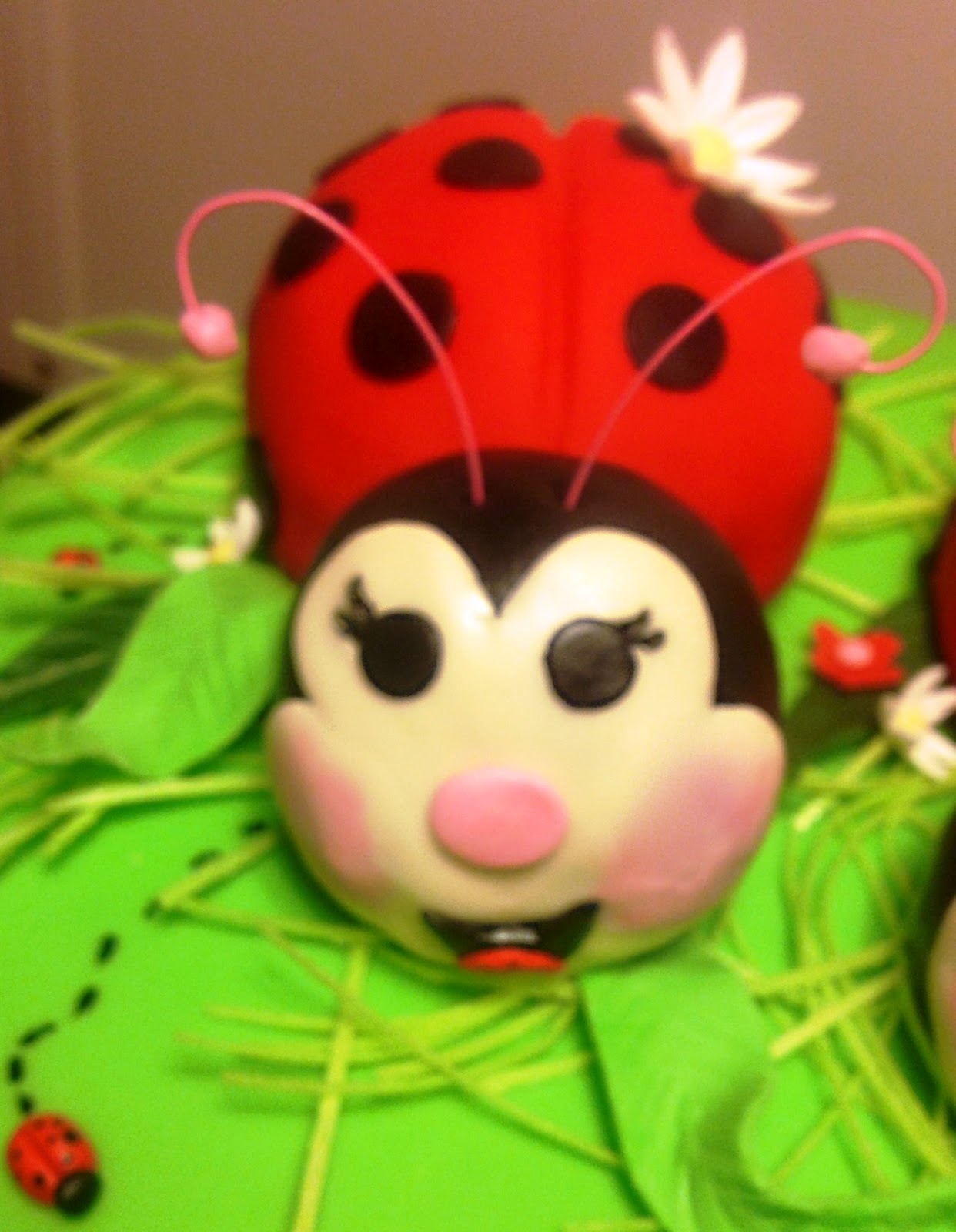 sugar: Lady Bug Cake