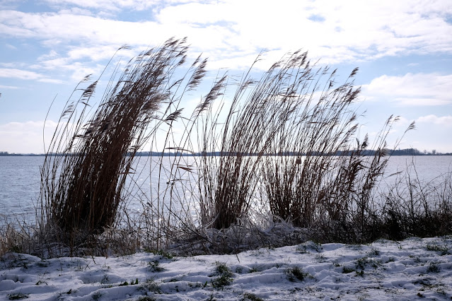 Langs de Braassemermeer
