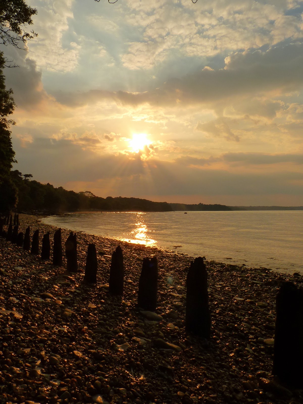 Birding For Pleasure: Sunset on the Isle of Wight