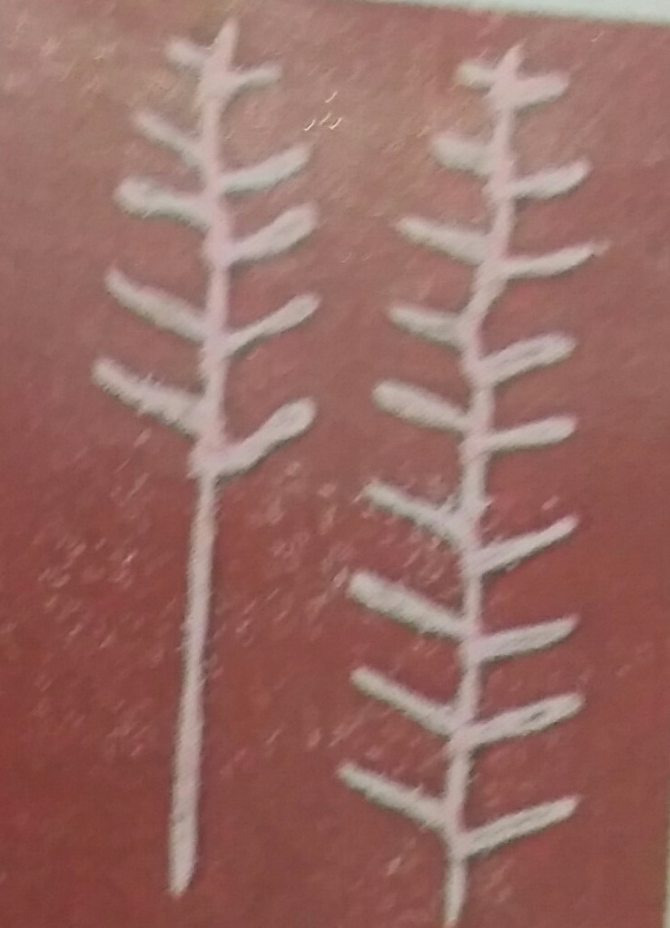 Macam-Macam Teknik Tusuk Sulam Benang beserta Gambar dan Fungsinya ...