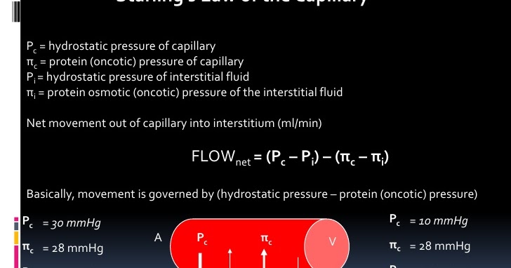 EXAMS AND ME : Starling Forces